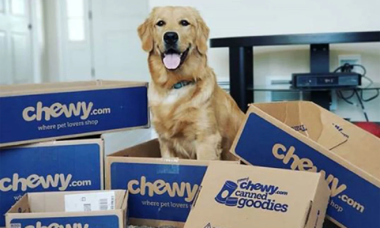 Exploring Chewy Uncovering Pet Paradise